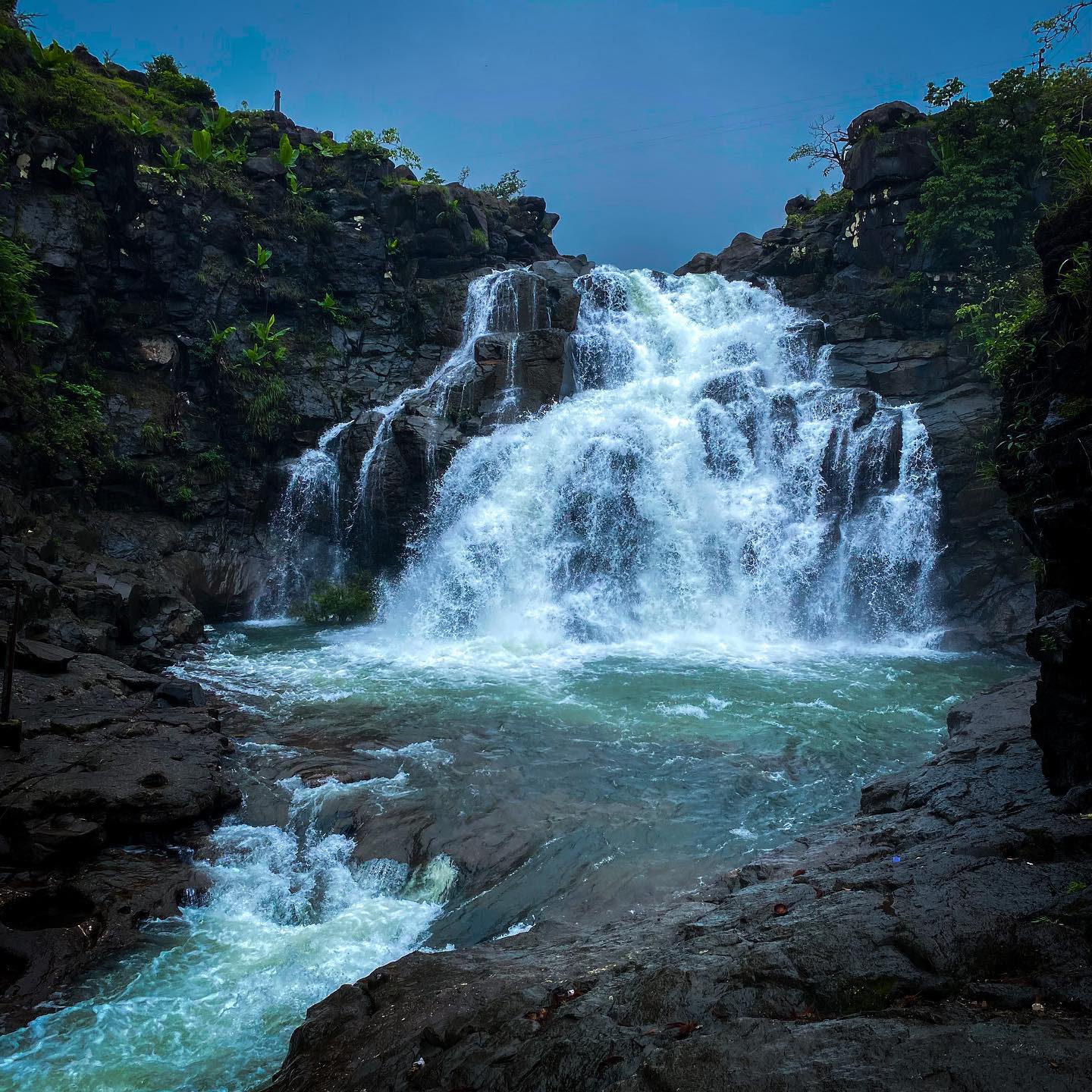 Mi Durg Veda | Monsoon Special Bhorgiri - Bhimashankar Trek